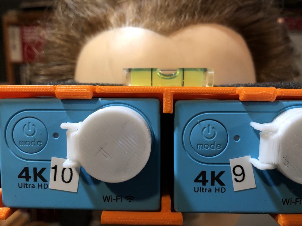 The Witness Head | Naked Rabbit World Power Foundation